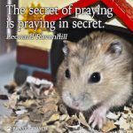 60 Christian Quote Images You'll Want to Share - prayer coach